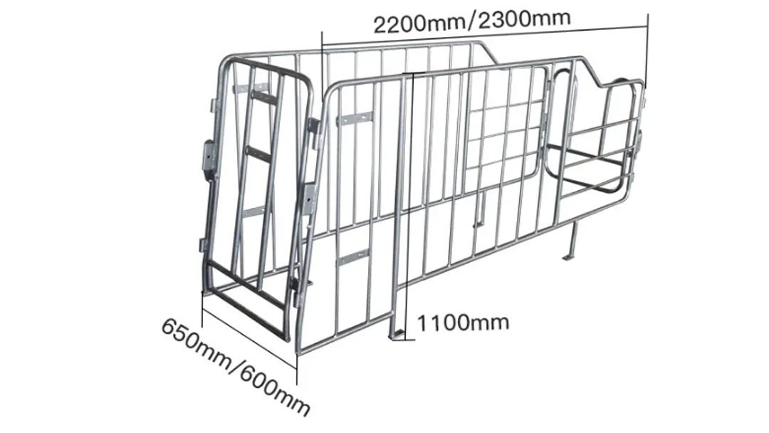How to Choose the Right Gestation Crate for Your Pig Farm