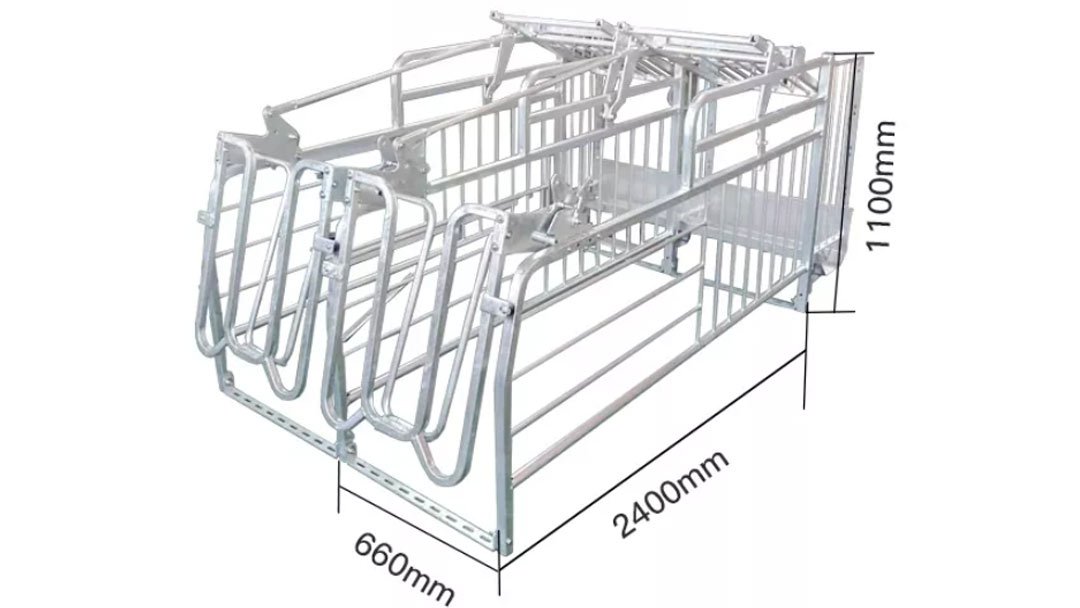 How to Choose the Right Gestation Crate for Your Pig Farm