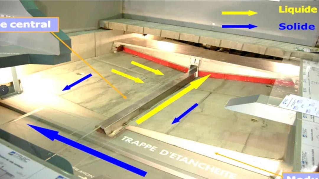 Optimize Pig Farming with High-Quality Pig Manure Scraper