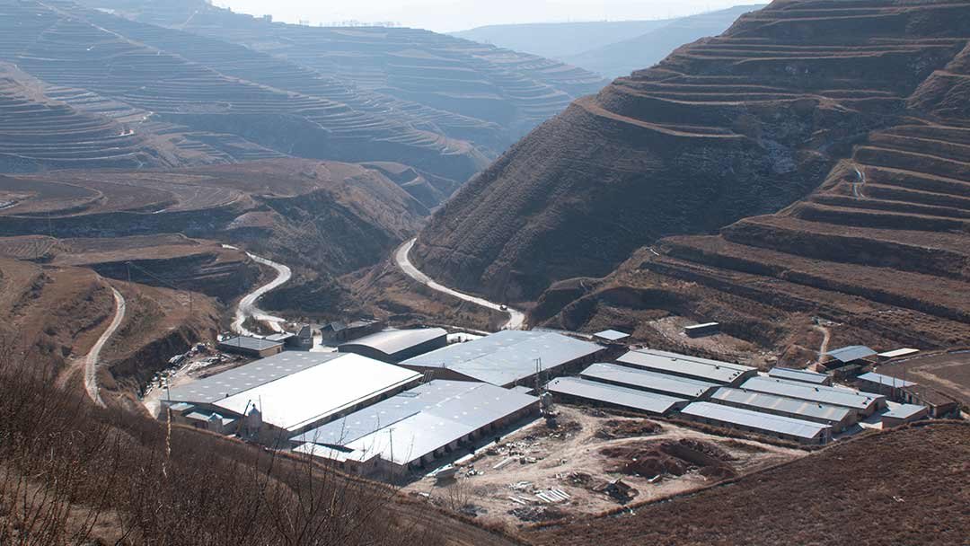 Innovative Pig Farm Design with Deba Brothers®