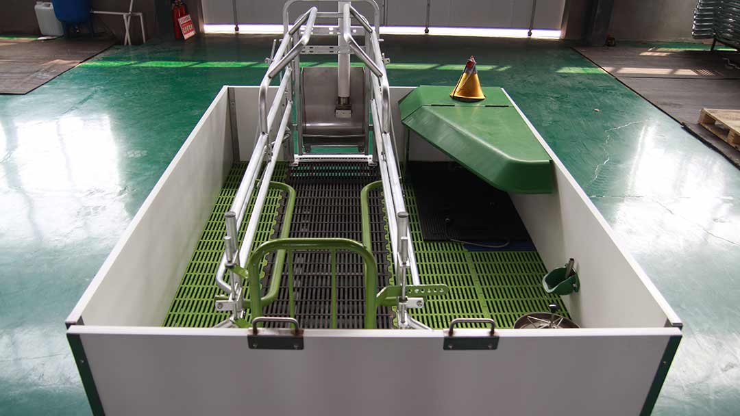 Introducing European Style Farrowing Crate: Enhancing Animal Welfare ...