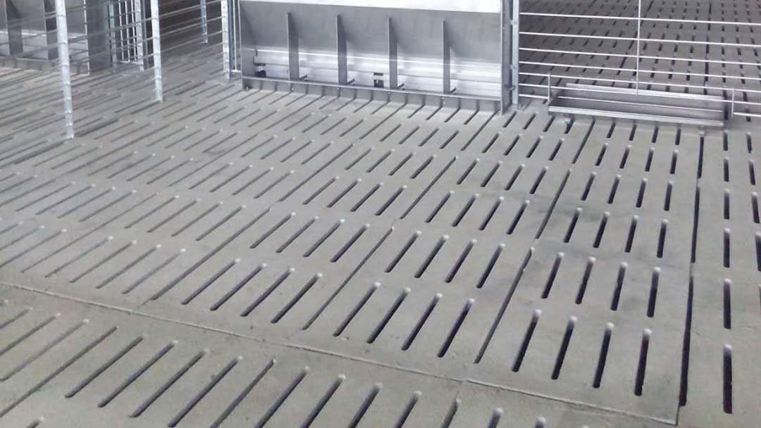 The Benefits of Concrete Slats in Livestock Farming