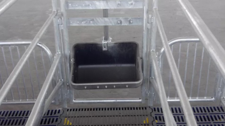 Innovative Solution for Improving Pig Farm Efficiency: Plastic Sow Feeder
