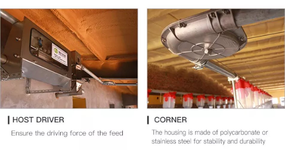 Pig Farm Feeding Line Corner N60-2