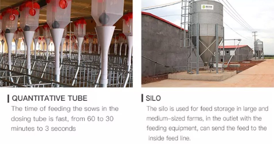 Pig Farm Feeding Line Corner N60-2
