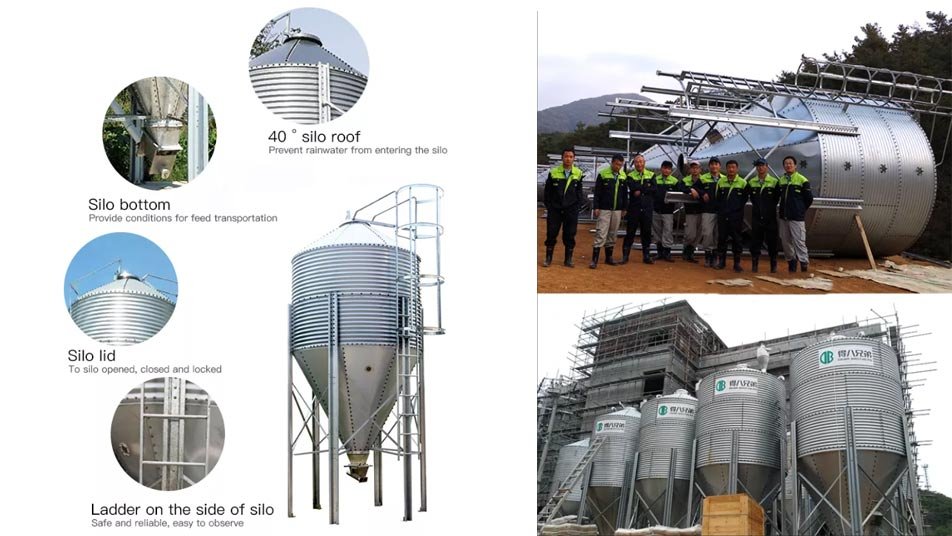 Pig Farm Feed Silo: User-Centric Feed Storage Solution