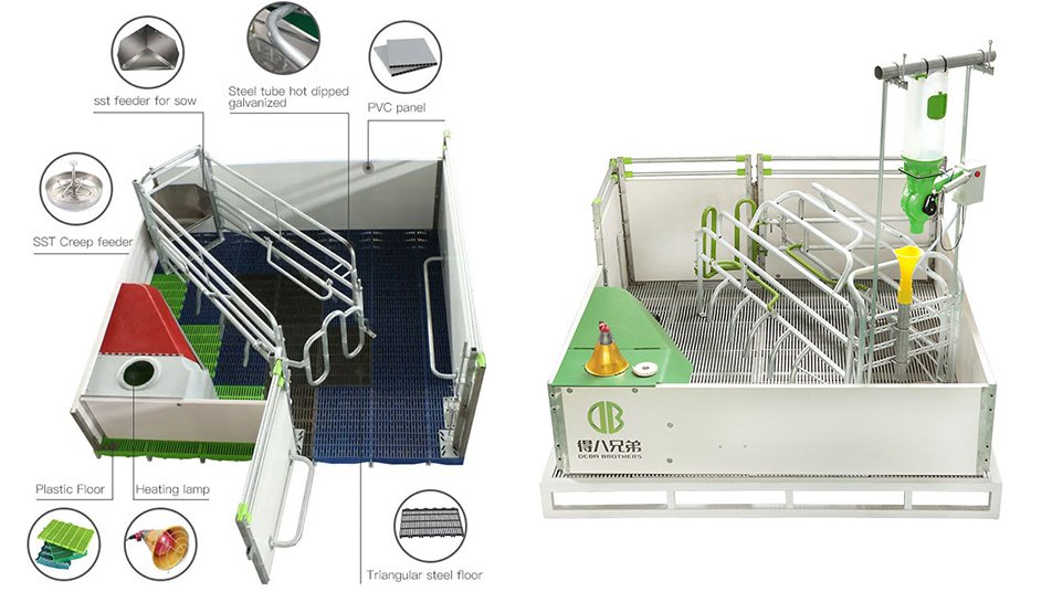 Welsafe Farrowing Crate: Elevating Pig Welfare in Farrowing Management
