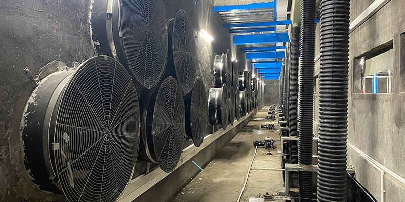 Managing Heat Stress in Hogs: Effective Strategies for Summer Well-being